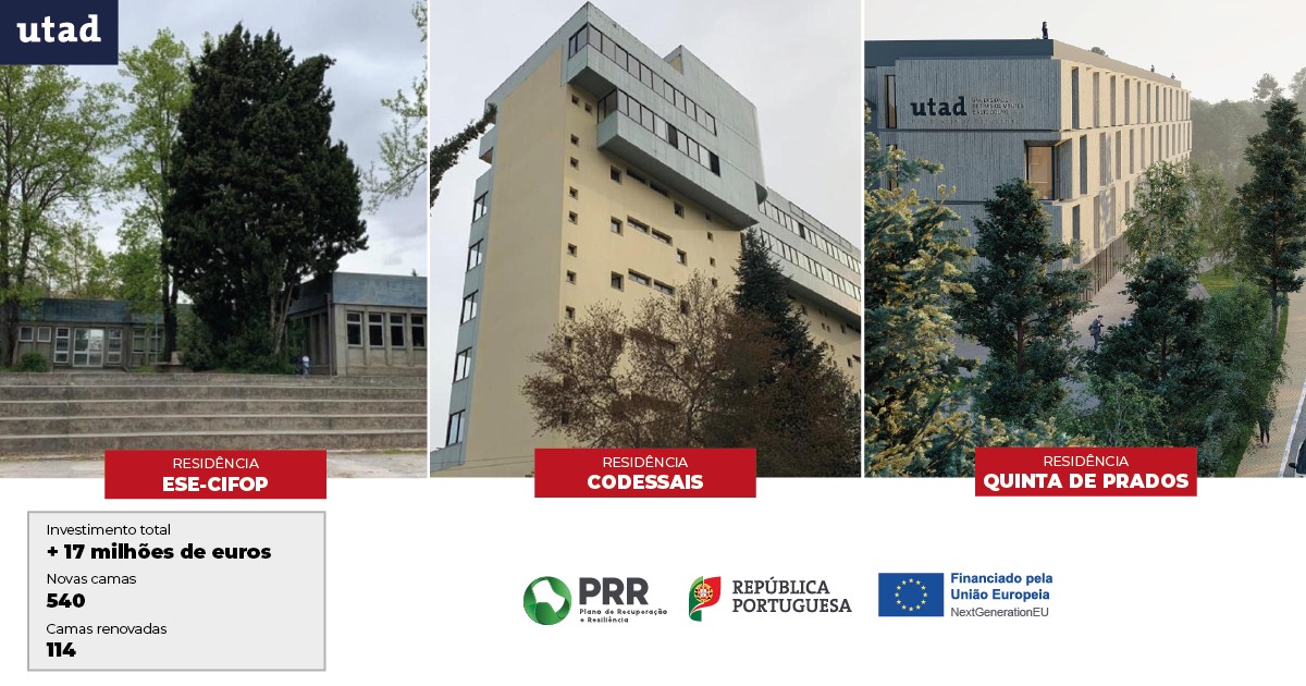 UTAD: Começaram as obras de construção e modernização das residências ...