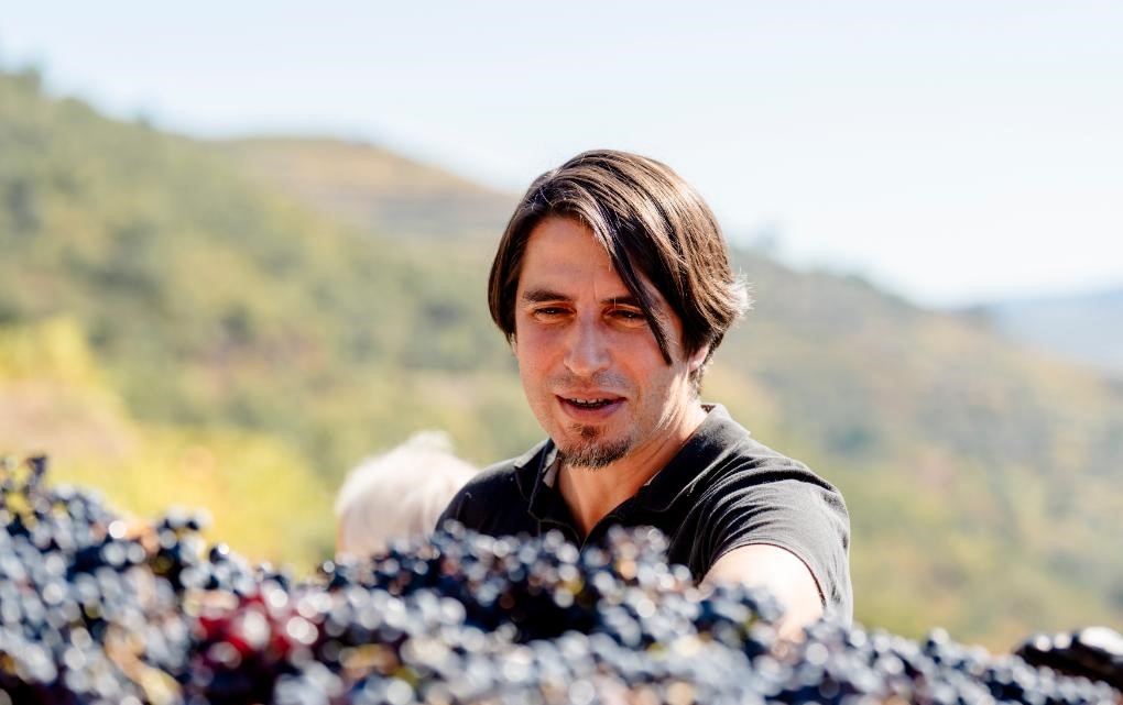 Docente da UTAD distinguido como Jovem Enólogo do Ano nos W Awards 2025 ...